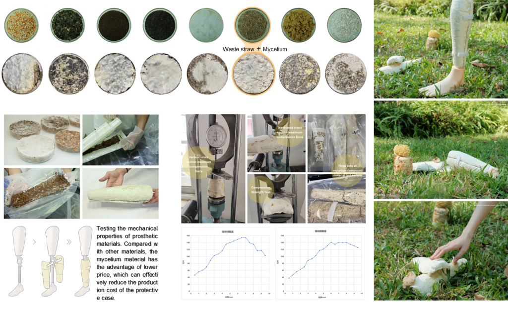 Mycelium Composite Biomaterial Experience Design – future-ecologies group